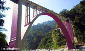 Siliguri: The Heaven Gateway to North East India | Traveling Beast